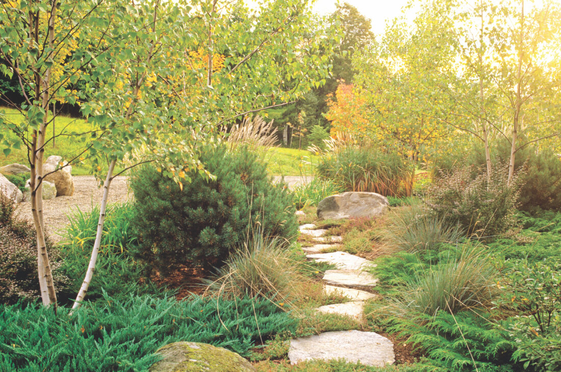 Xeriscaping Examples - Grit